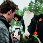 Application • Mozae