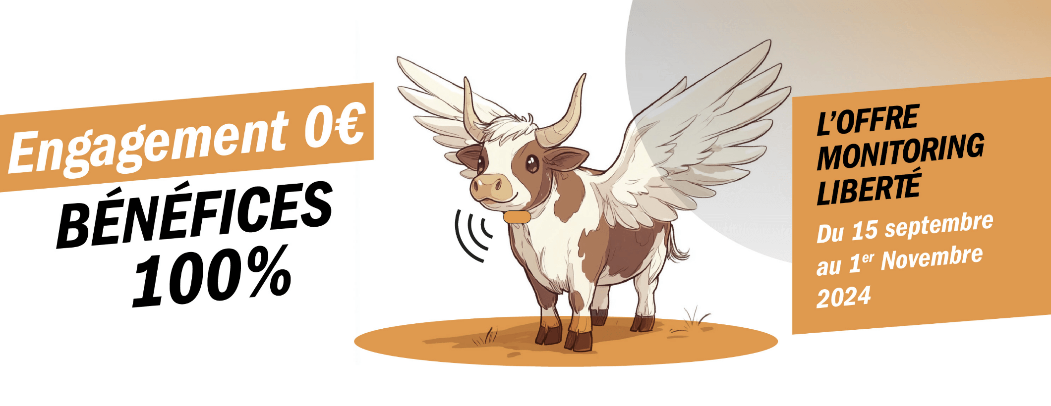 Discover the Freedom Offer: The Best of Uncommitted Monitoring! • Mozae