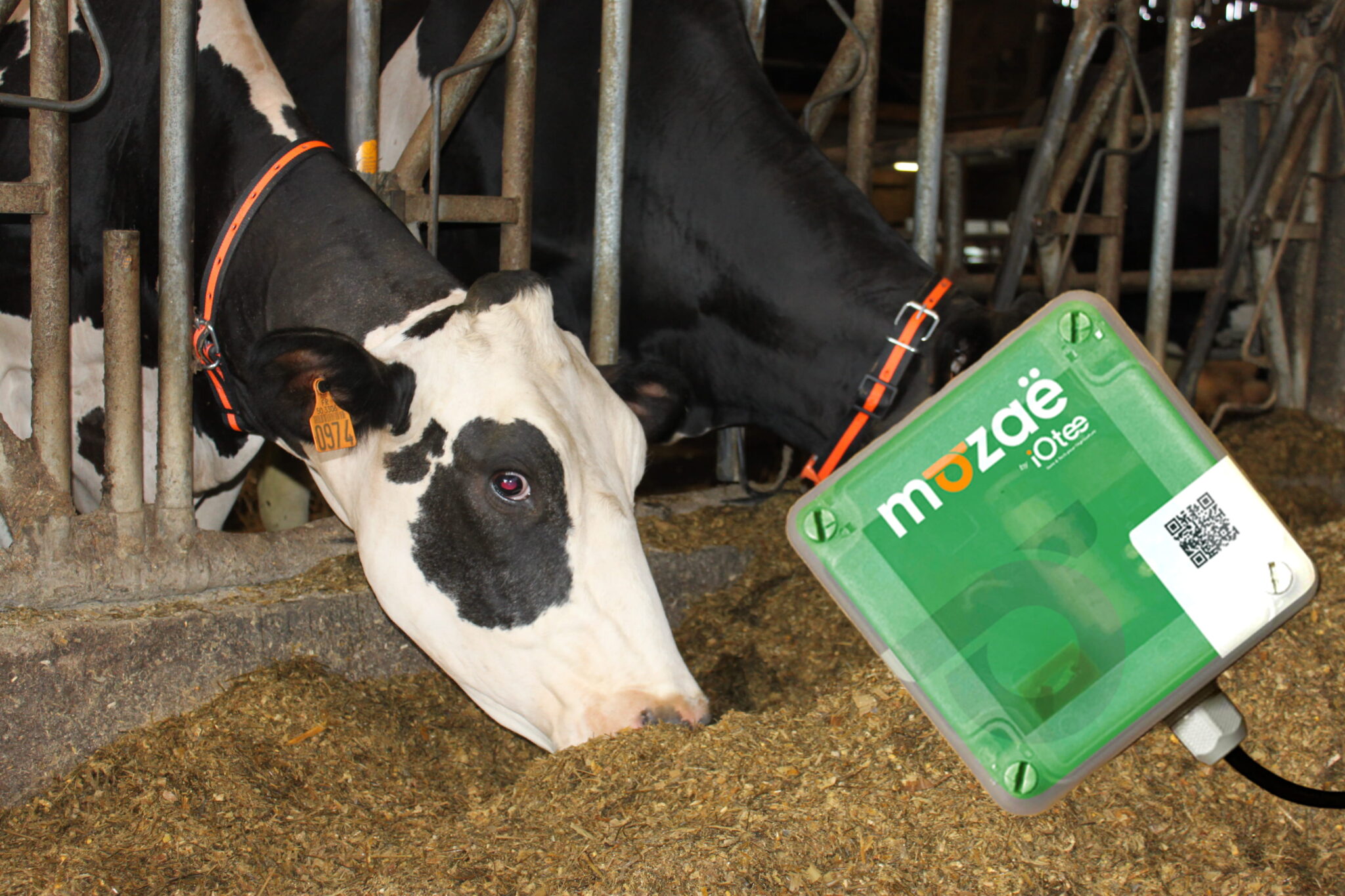 Mozae • Sens & Tech pour l'Agriculture